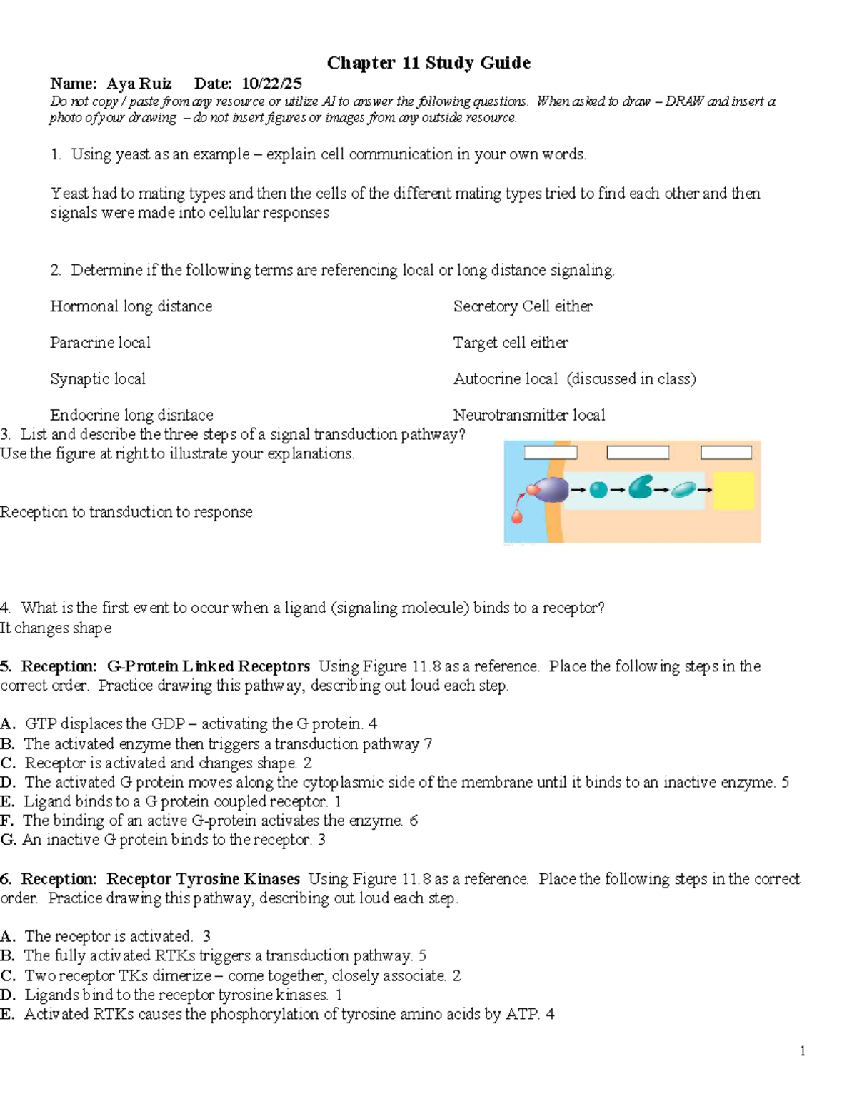 Chapter 11 Study Guide F23: Cell Communication & Signal Transduction ...