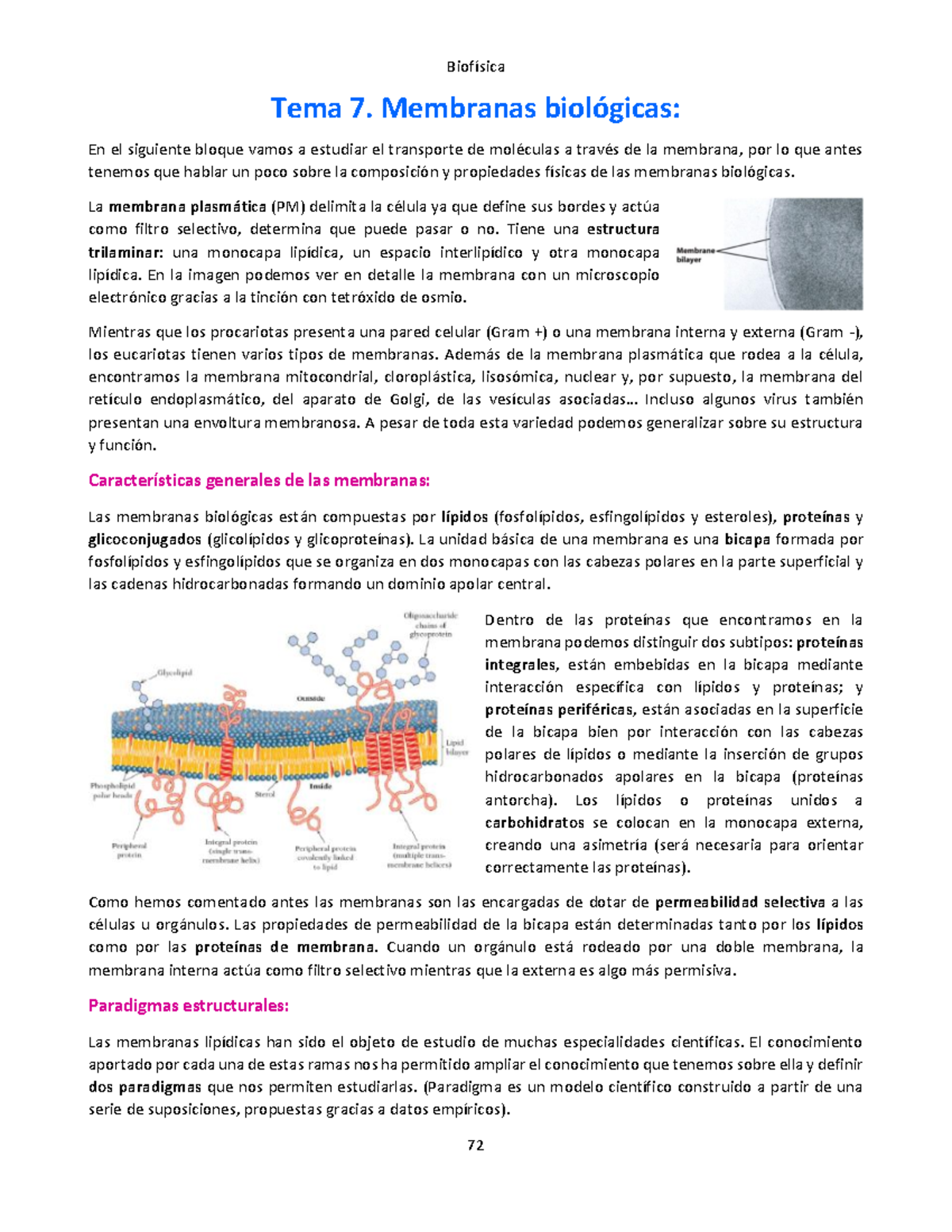 7. Membranas biológicas - Biofísica Tema 7. Membranas biológicas: En el ...