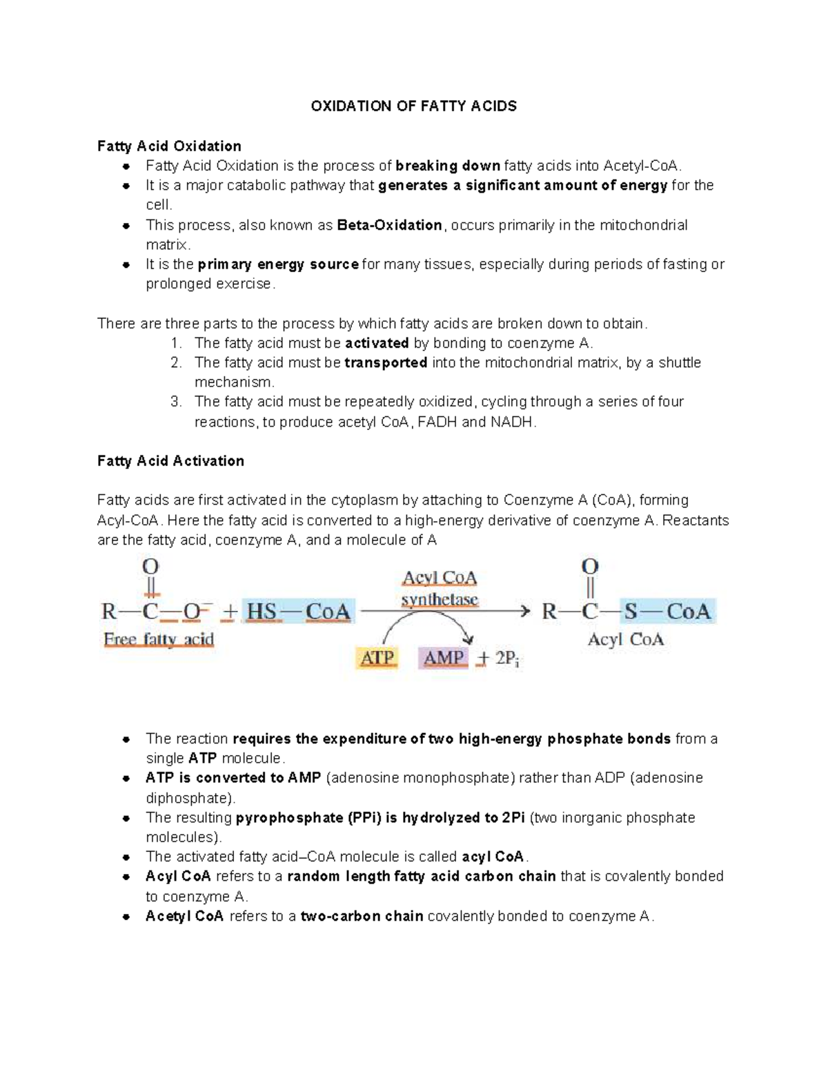 OXD 101: Fatty Acid Oxidation, ATP Production & Ketone Bodies - Studocu