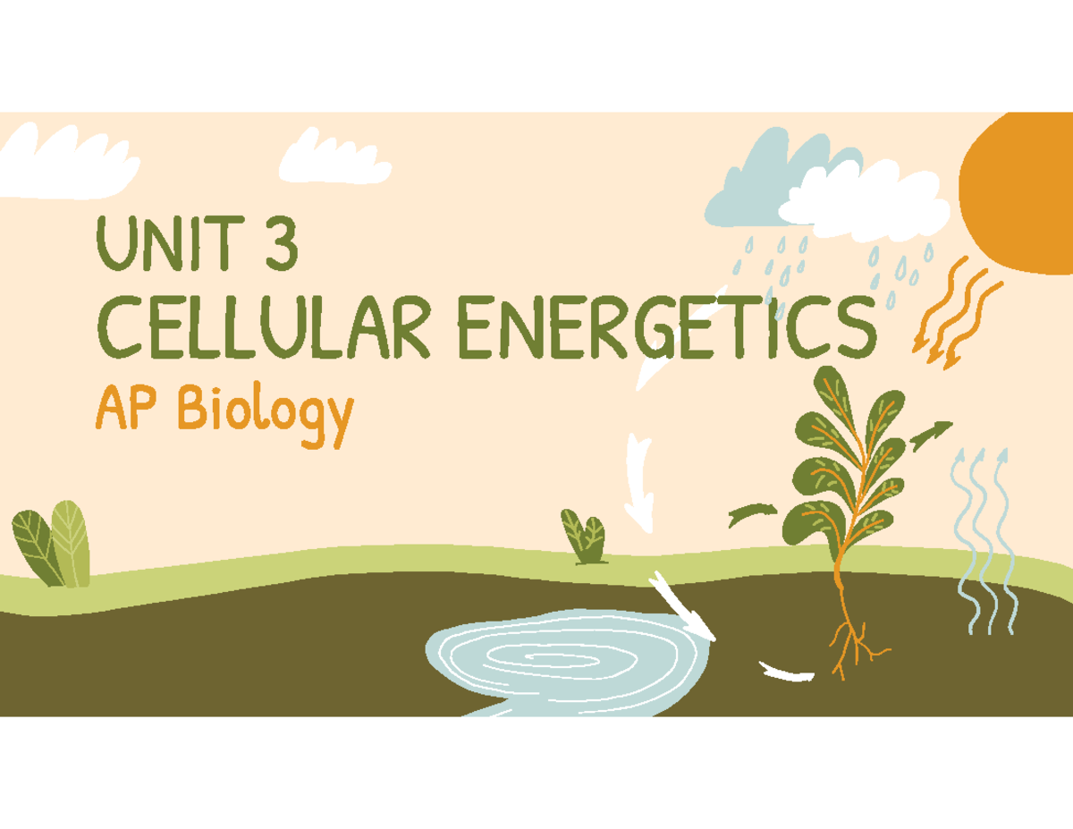 AP Biology Unit 3: Cellular Energetics Overview and Key Concepts - Studocu