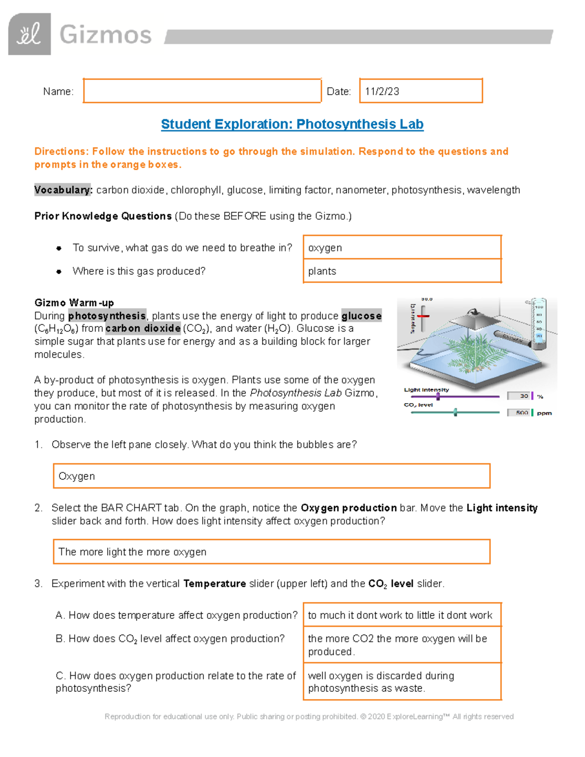 Photosynthesis Lab Exploration Guide: Key Concepts & Practices - Studocu