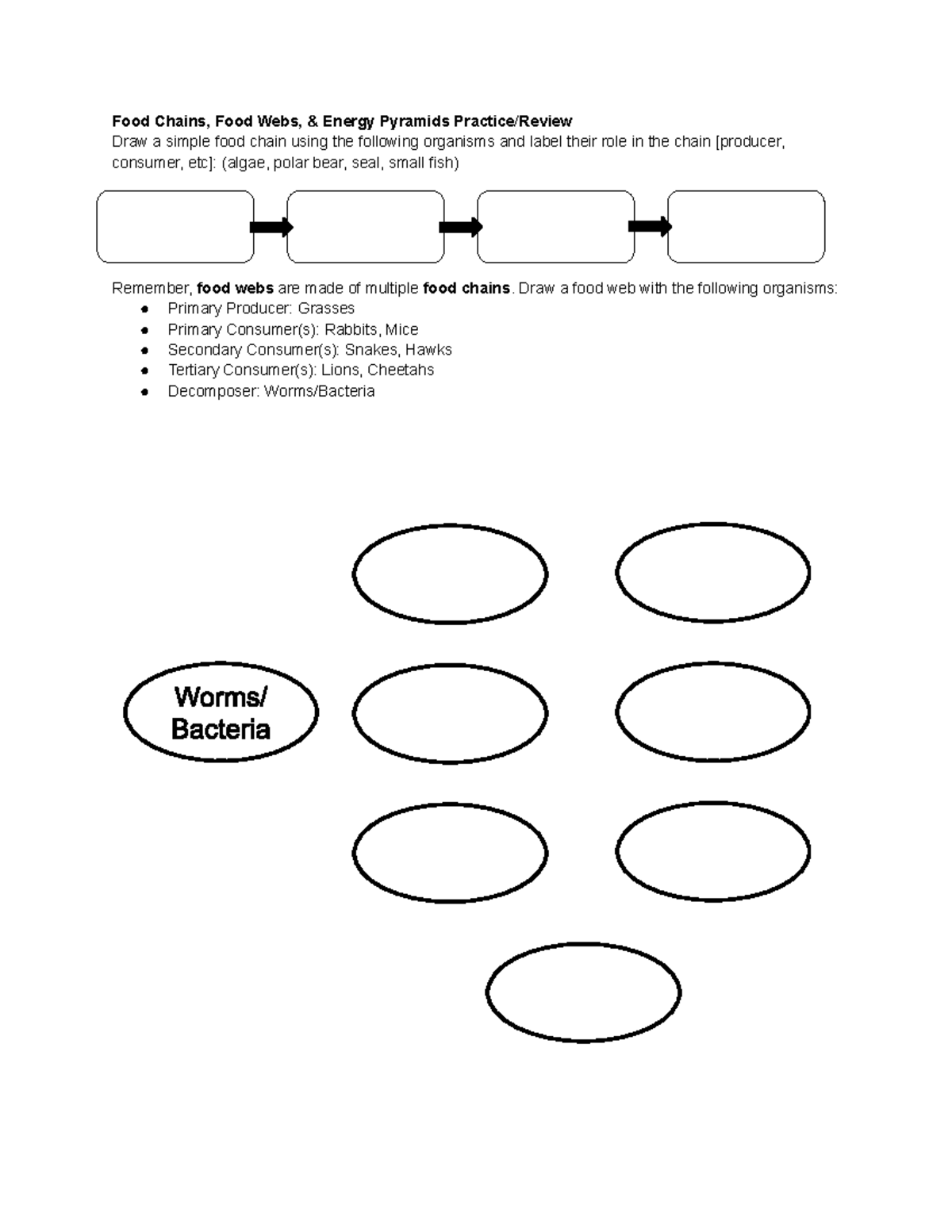 Food Chains, Food Webs, & Energy Pyramids Practice Review - Google Docs ...