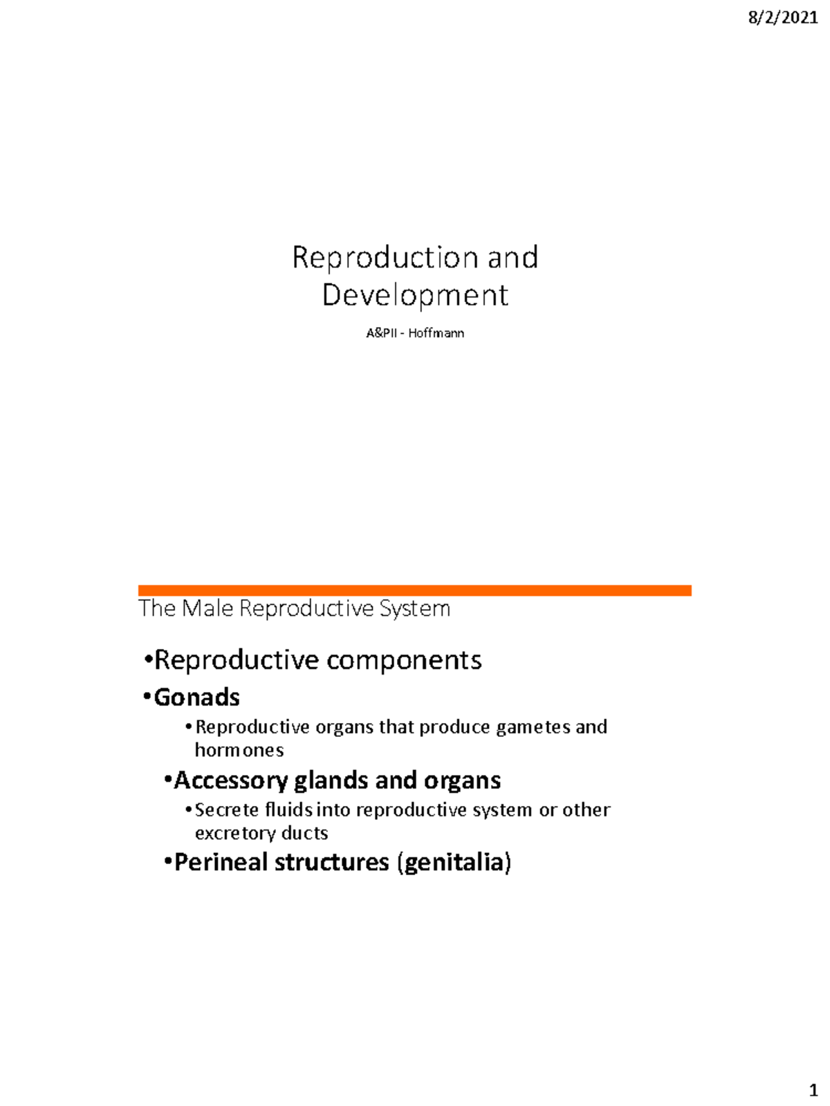 Reproductive System - Lecture Notes (BIO 101) - Studocu