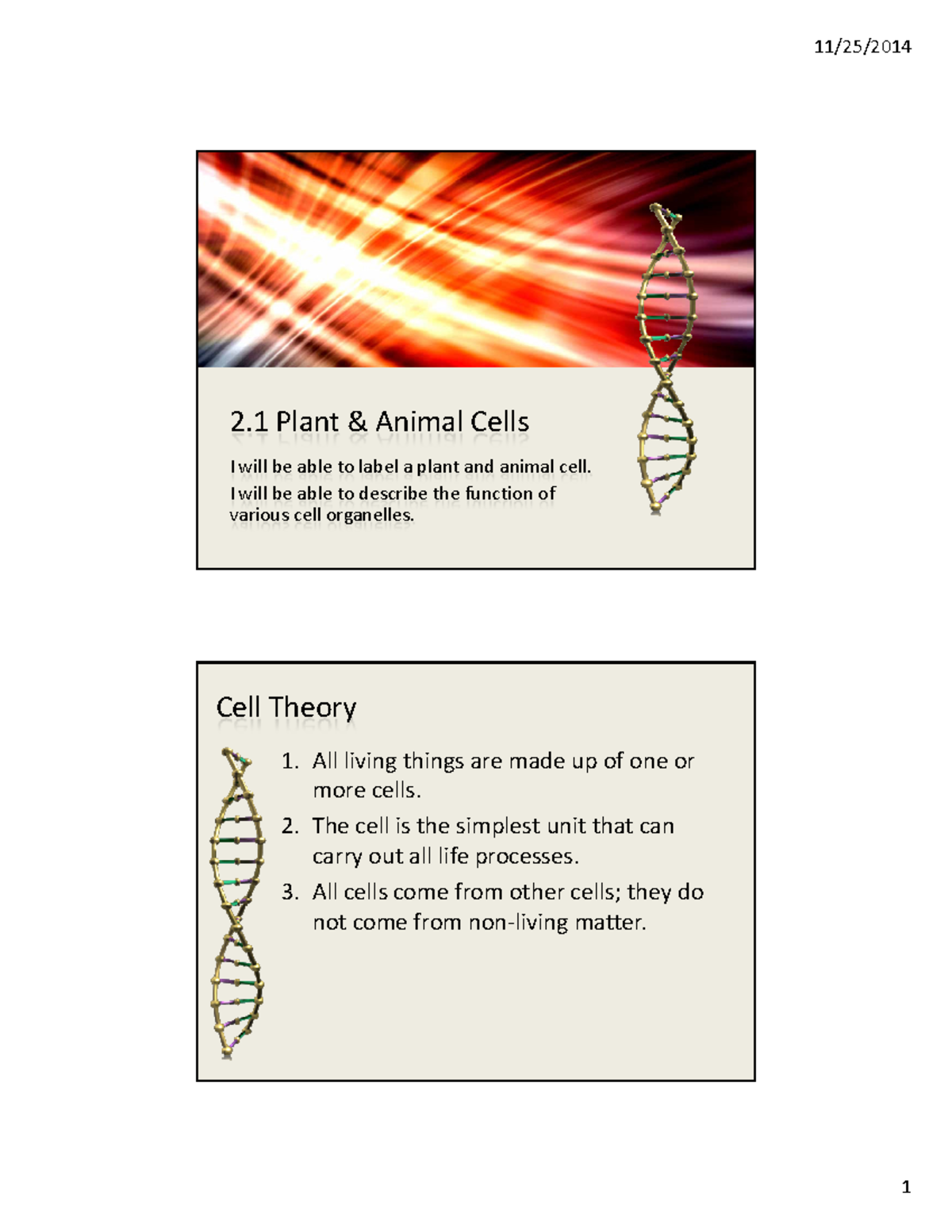 2.1 Plant & Animal Cells: Functions & Organelles Explained - Studocu