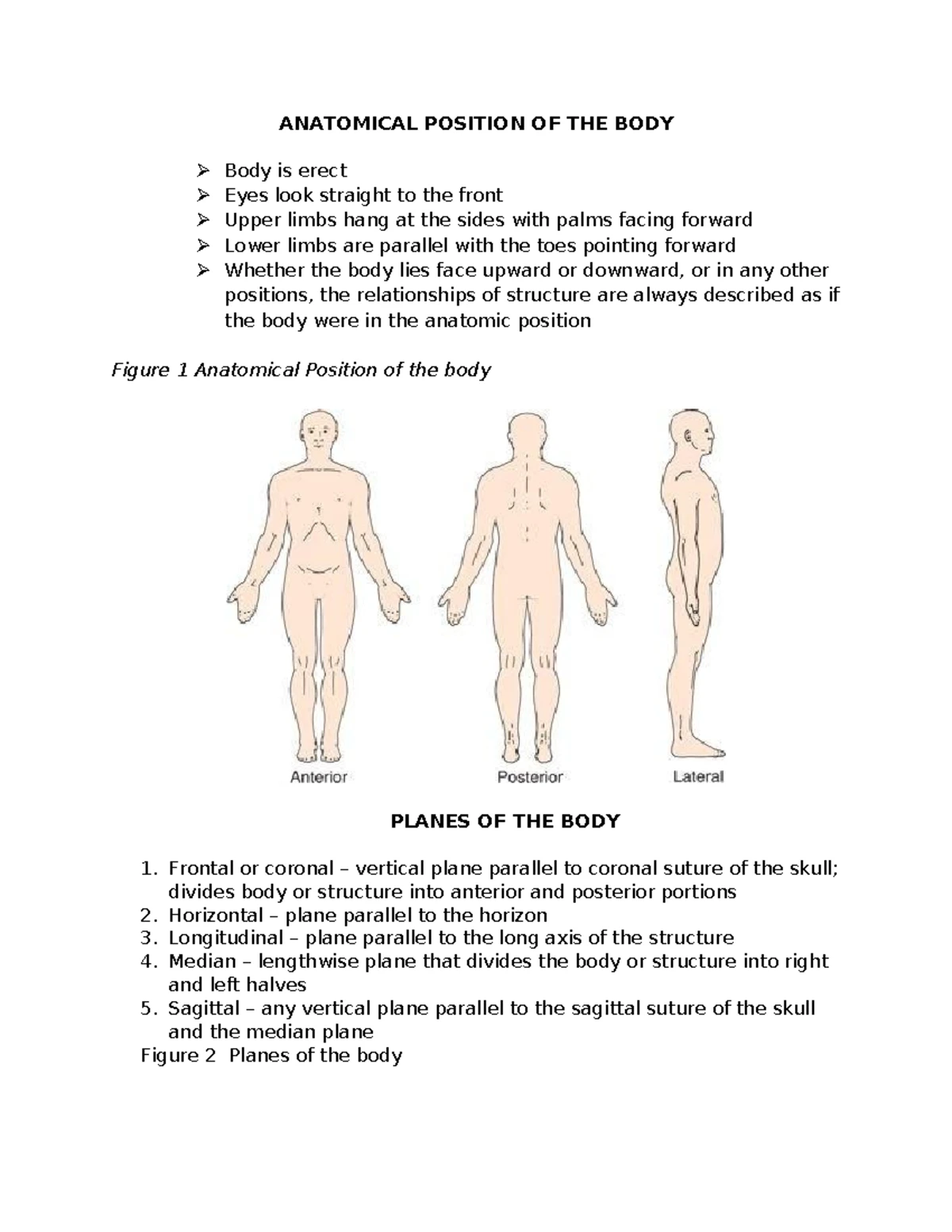 Chapter 2 BODY Structures - ANATOMICAL POSITION OF THE BODY Body is ...