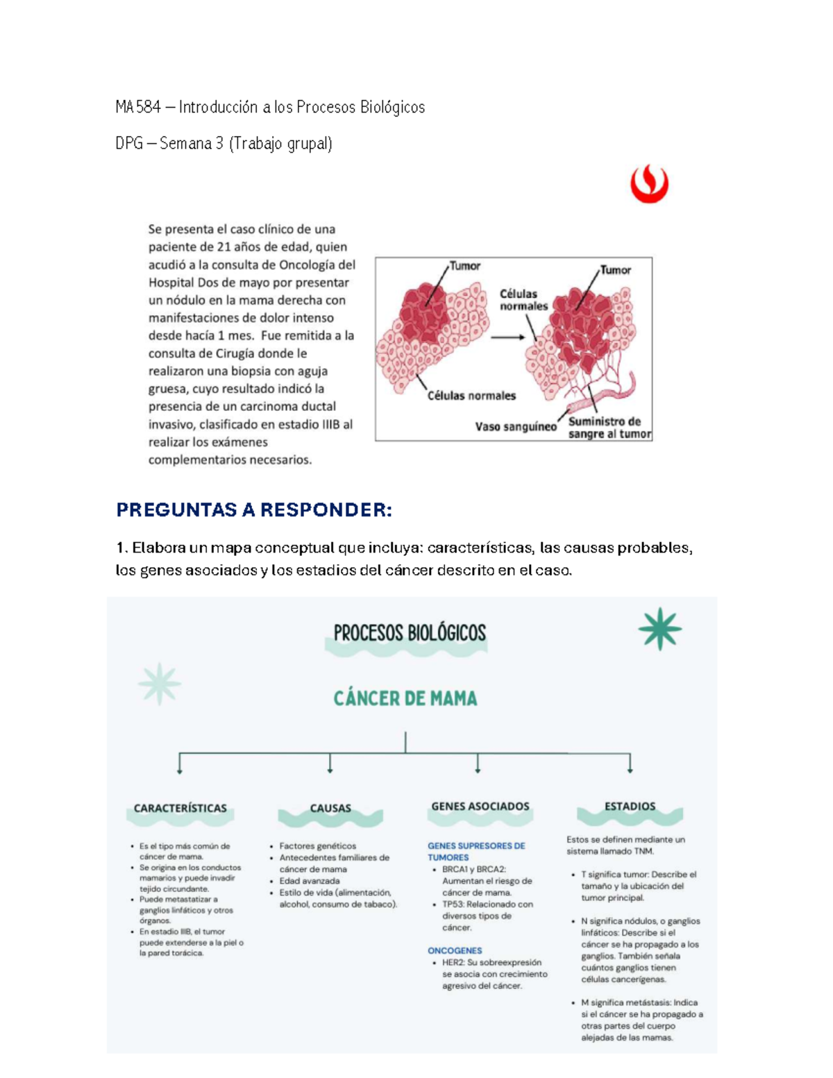 MA584 Introducción a los Procesos Biológicos DPG Semana 3: Mapa ...