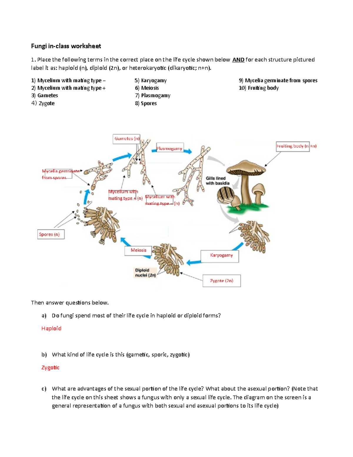 31 Fungi Worksheet Answer Key - Fungi in-class worksheet Place the ...