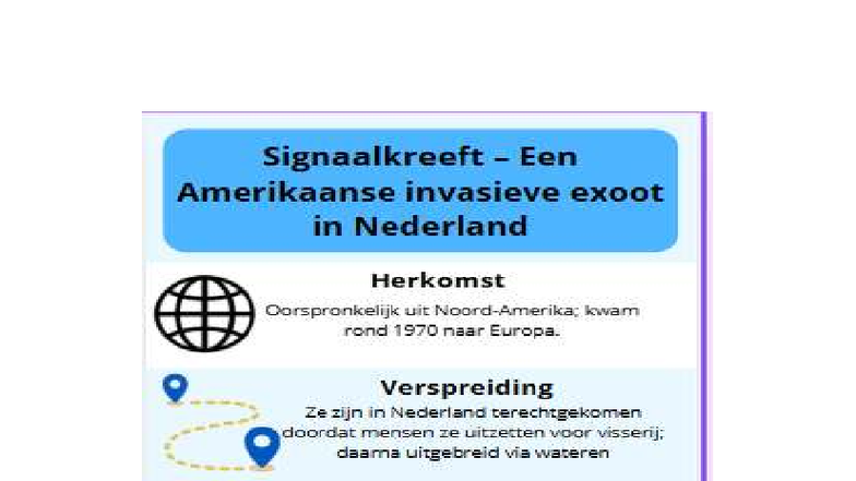 Infographic over de Singaalkreeft: Invasieve Exoot in NL - Studeersnel