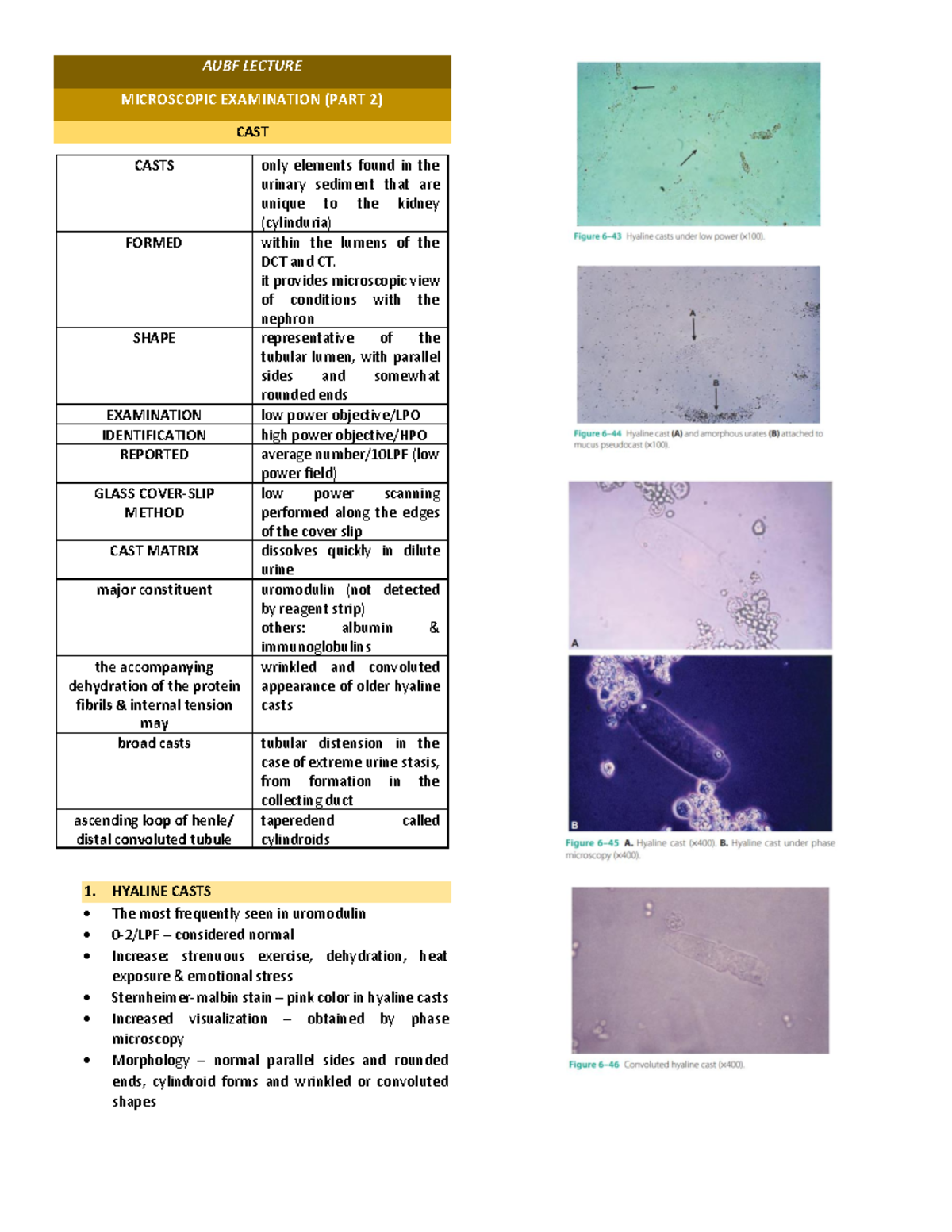AUBF-LEC- Midterm - Microscopic Analysis of Urinary Casts and Crystals ...
