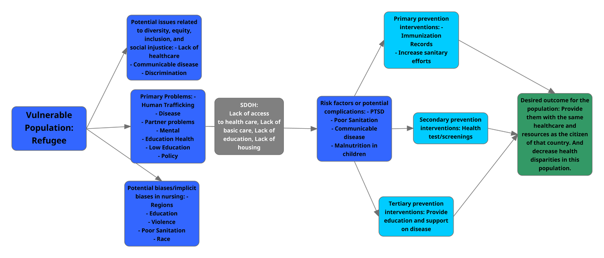 Community Concept Map- Refugee - Vulnerable Population: Refugee Primary ...