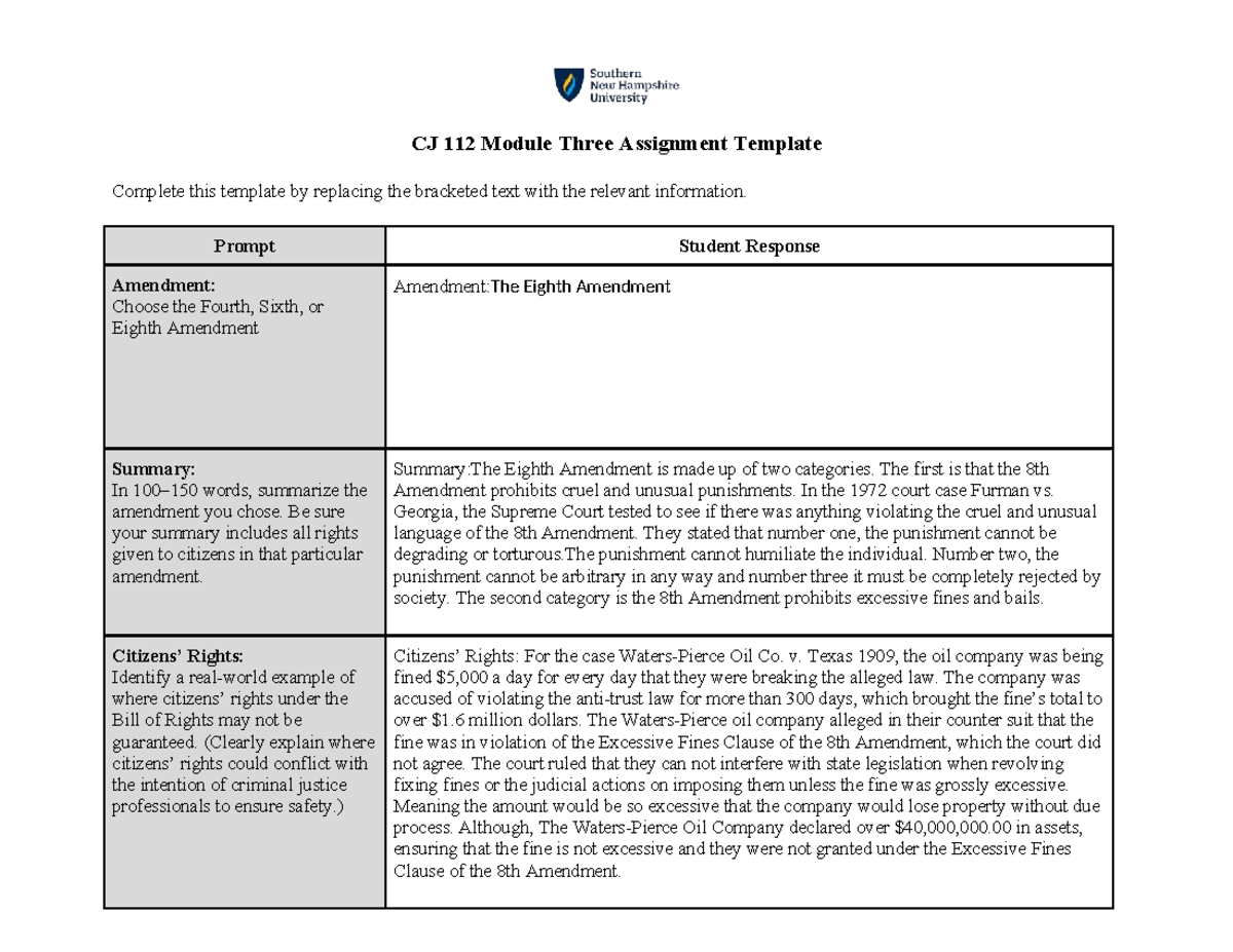 CJ 112 Eighth Amendment Analysis: Rights and Restrictions in Criminal ...