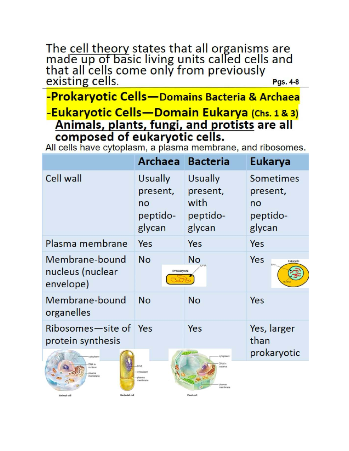 Final Exam Review Notes for Biology: Cell Theory & Life Systems - Studocu