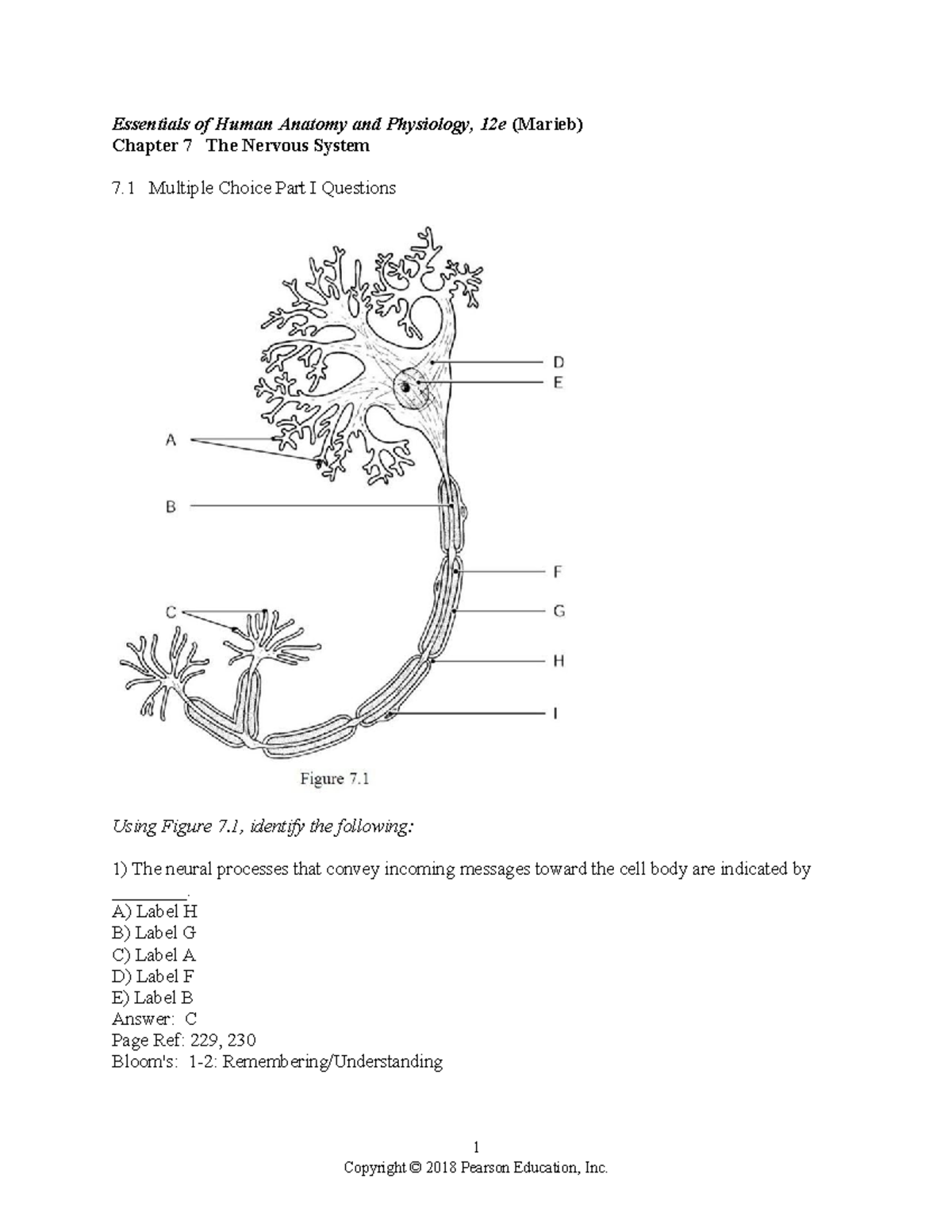 Ch7 - Nervous System Quiz Questions and Answers - Studocu