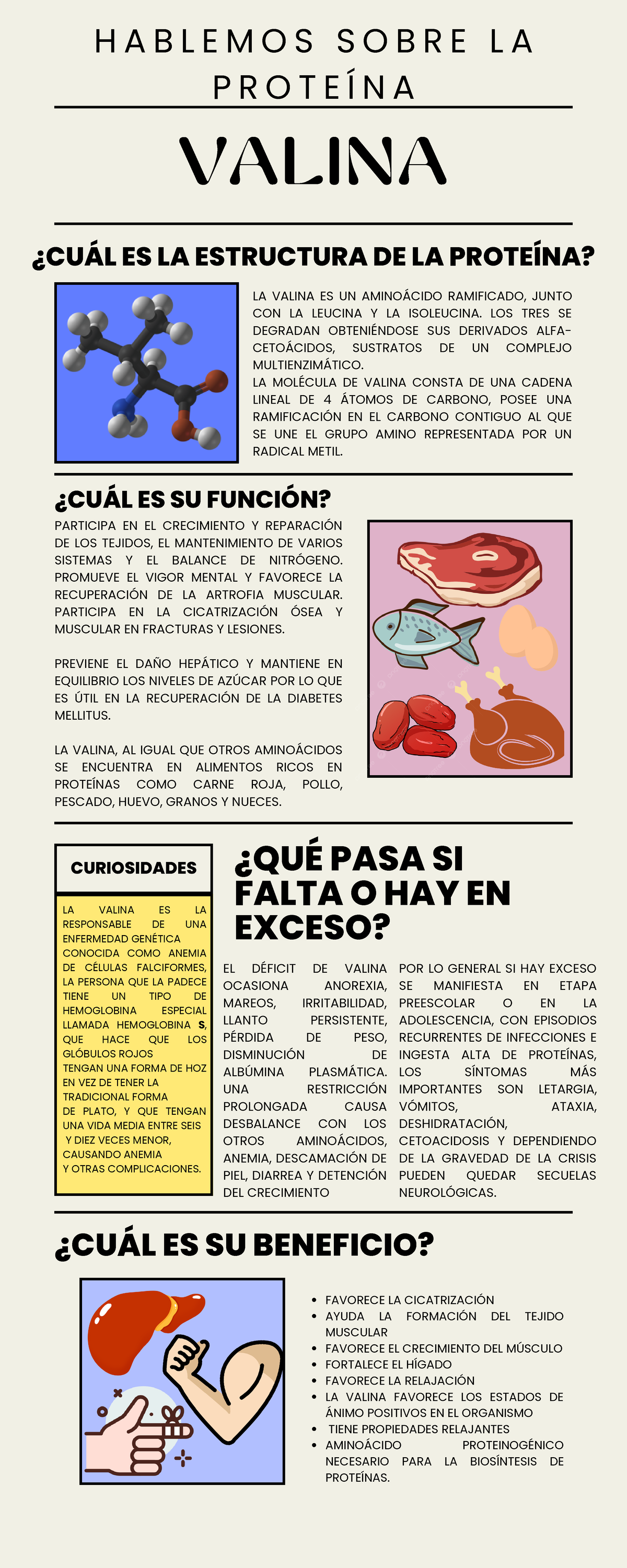 Proteina valina - CURIOSIDADES VALINA H A B L E M O S S O B R E L A P R ...