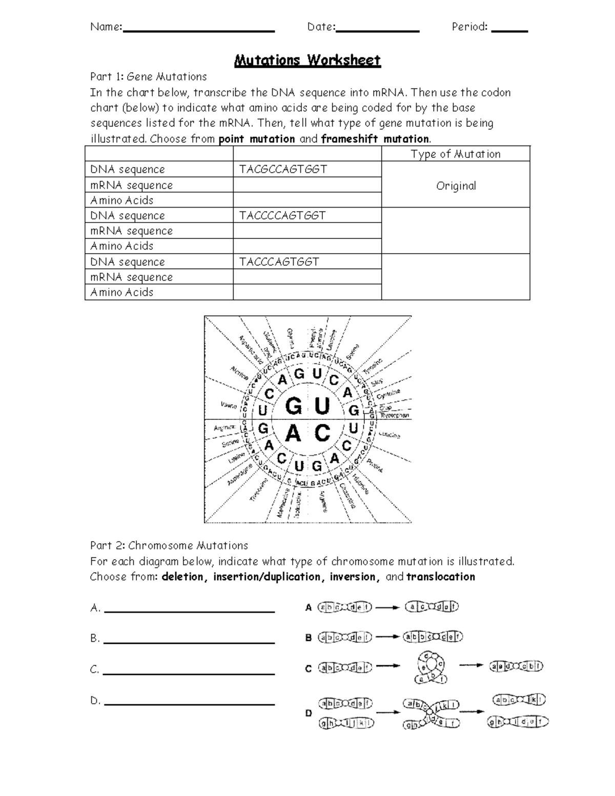 Genetic Mutations Worksheet: Gene & Chromosome Mutations Analysis - Studocu