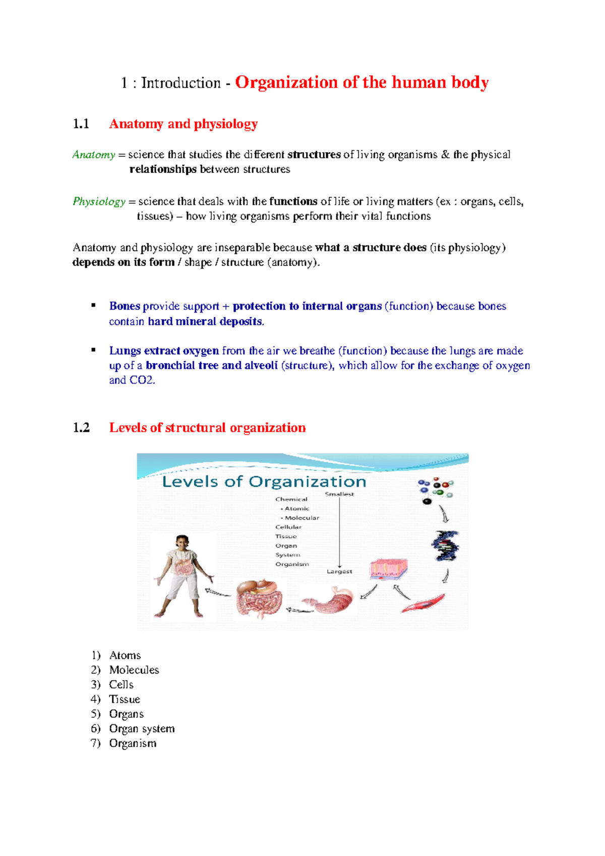 Introduction-Anatomy notes - 1 : Introduction - Organization of the ...
