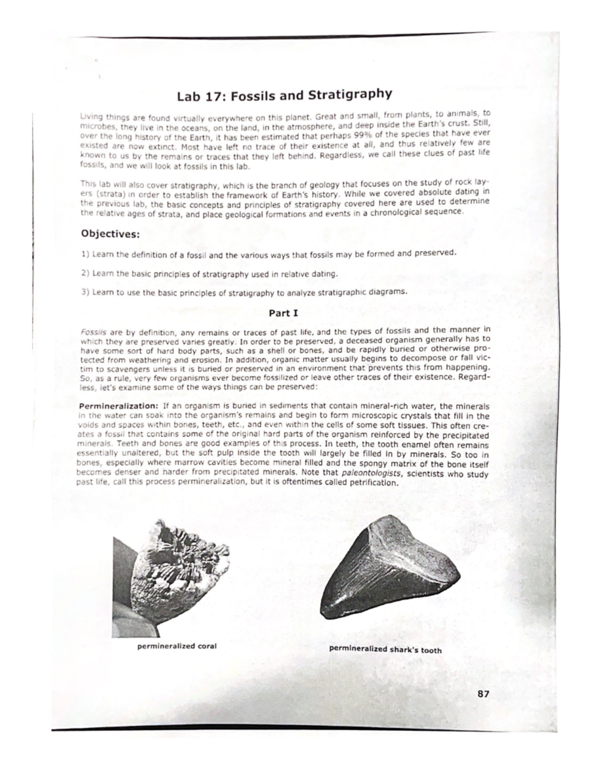 Lab 17: Exploring Fossils and Stratigraphy Concepts - Studocu
