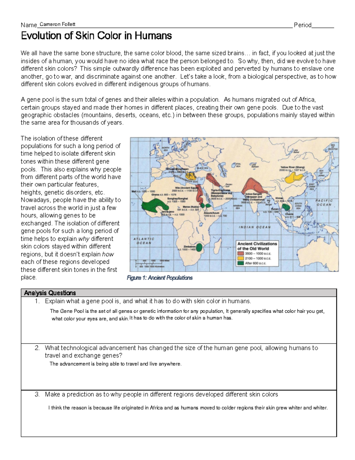 Evolution of Skin Color in Humans SE - - Studocu