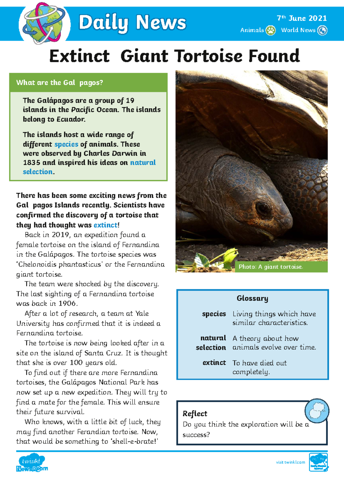 Daily Article: 'Extinct' Giant Tortoise Found - LKS2 (7-9) - Studocu