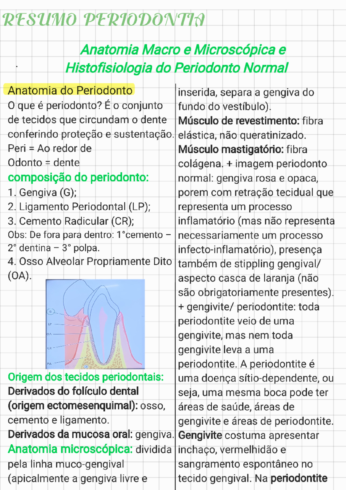 Resumo de Anatomia e Histofisiologia do Periodonto Normal - PERI 101 ...