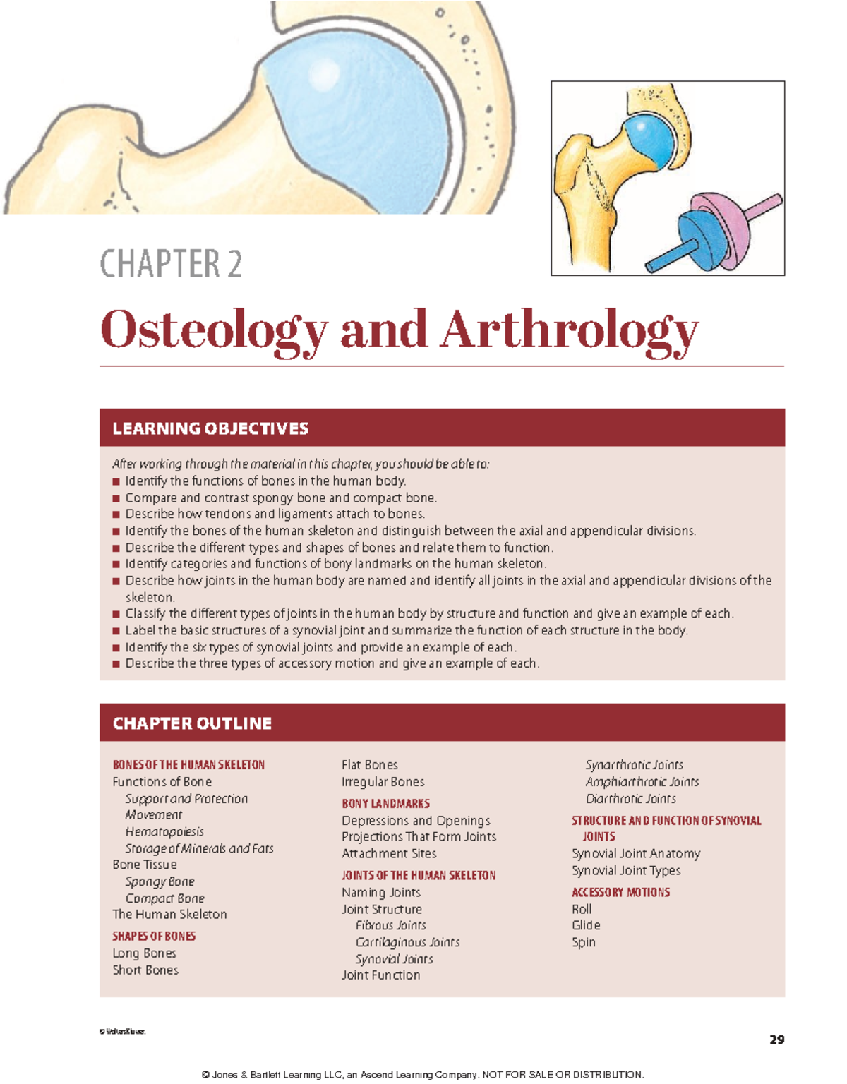 CHAPTER 2 Osteology and Arthrology: Functions and Structures of Bones ...