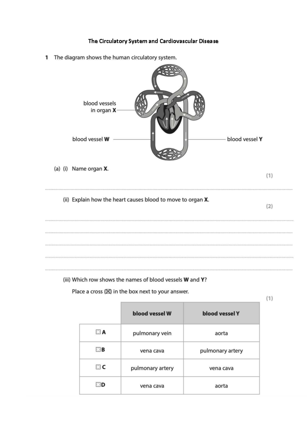 Circulatory System & Cardiovascular disease homework - The Circulatory ...