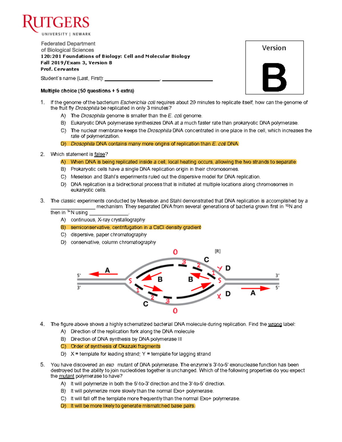 BIO 201 Cell and Molecular Biology Exam 3 (Fall 2019) - Version B - Studocu