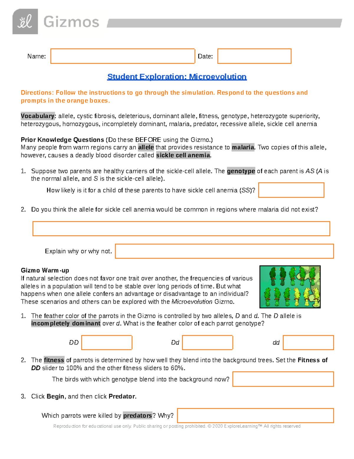 Lucas Turner - Gizmo Microevolution - Google Docs - Gizmos Name: Date ...