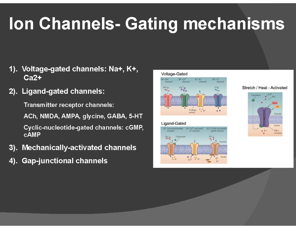 Ion Channels: Mechanisms, Functional States, and Pathologies - Studocu