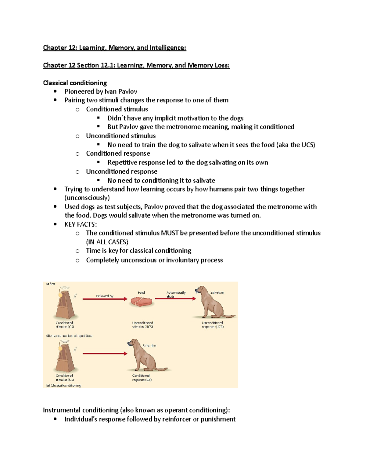 Psych 12: Learning, Memory, and Intelligence - Detailed Chapter Notes ...