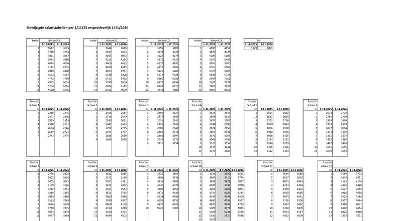 Salaristabellen CAO VO 2025-2027 en Conversietabel S10 - Studeersnel