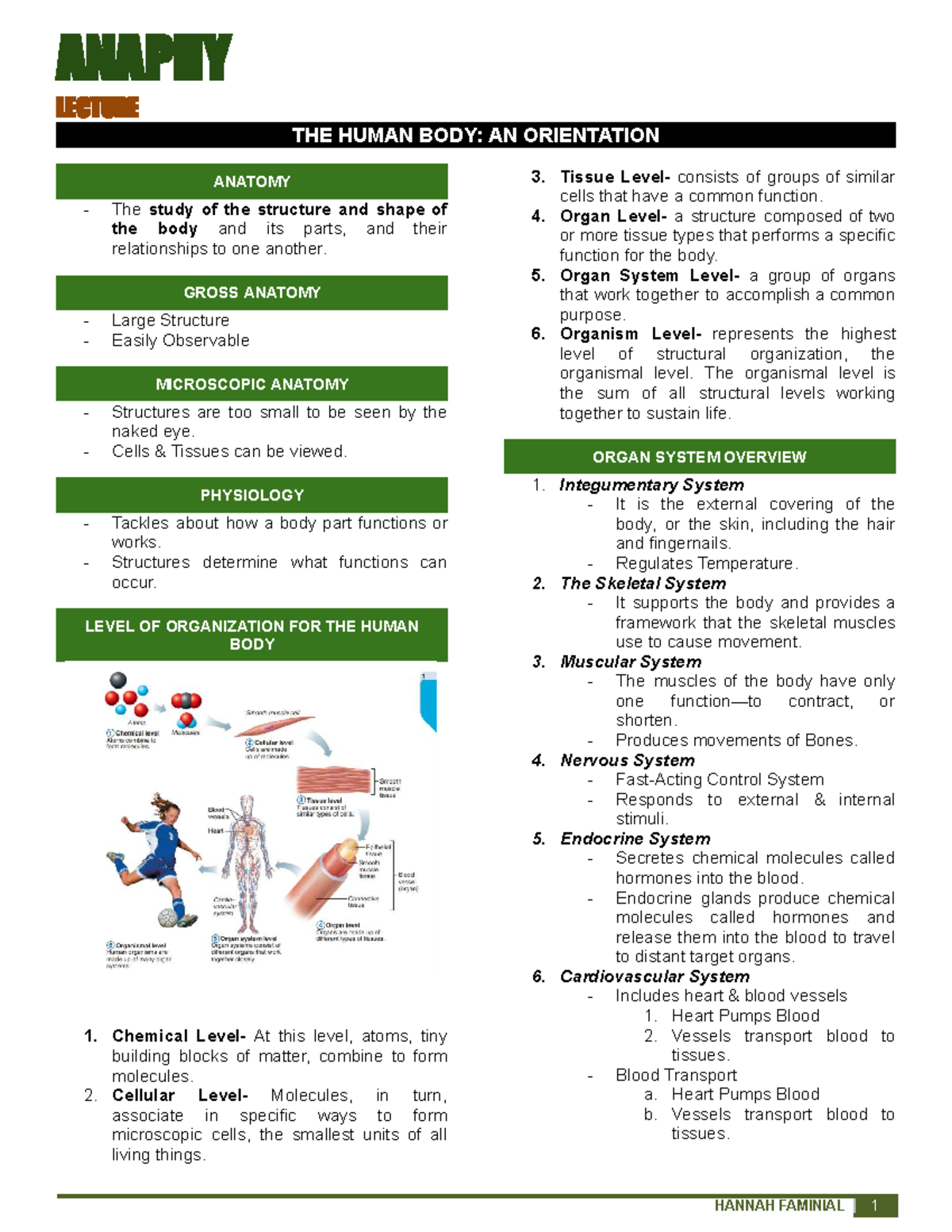 ANAPHY LECTURE: ANATOMY AND PHYSIOLOGY OF THE HUMAN BODY - Studocu