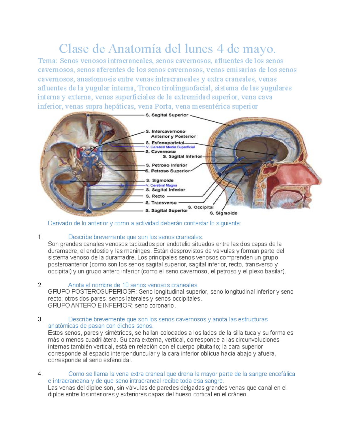 Anatomía 1: Senos Venosos Intracraneales y Estructuras Afluentes - Studocu
