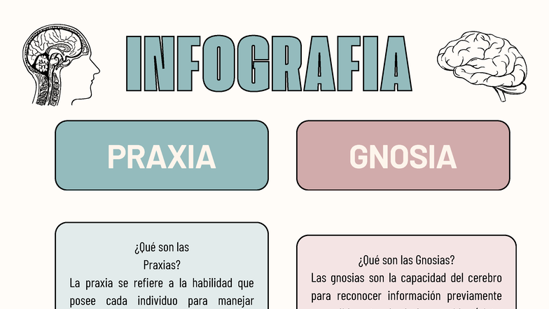 Infografia apraxia y gnosias - PRAXIA GNOSIA ¿Qué son las Praxias? La ...