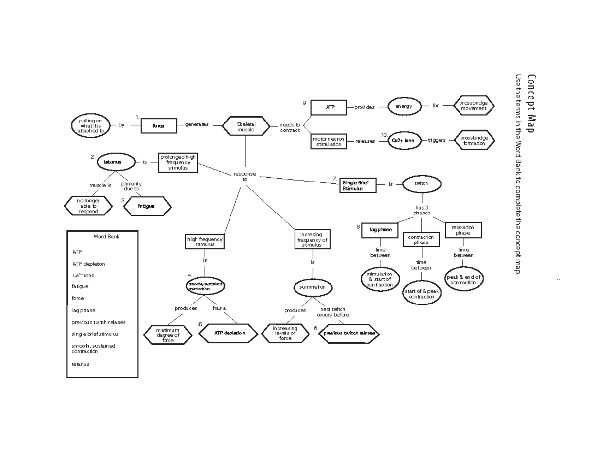 Chapter%2010 %20-%20Concept%20Map-2 - : Concept Map Use the terms in ...