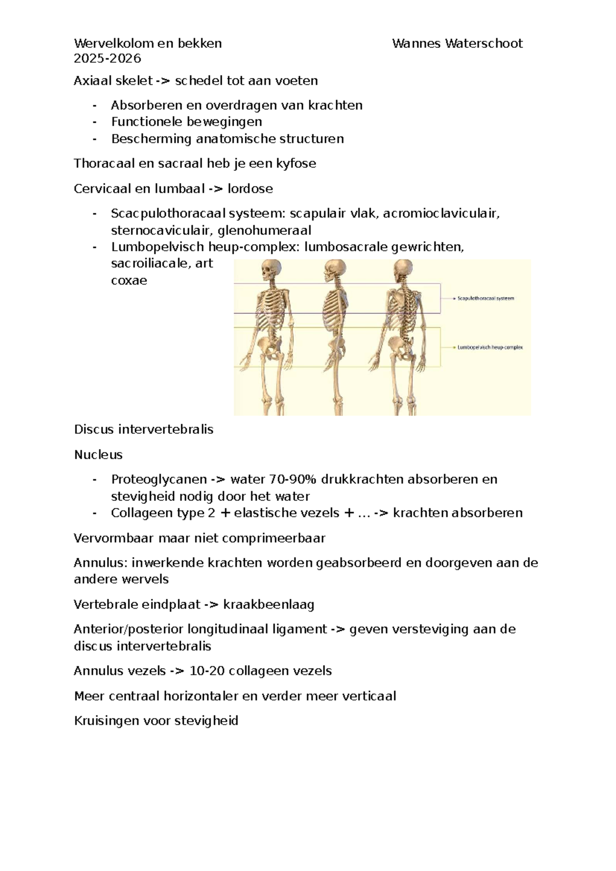 KBA Wervelkolom en Bekken: Anatomie en Bewegingen van het Axiale Skelet ...