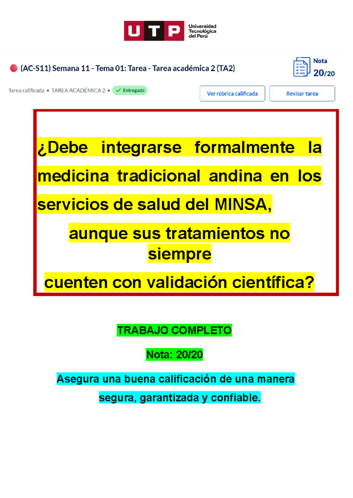 TAREA ACADÉMICA 2: Integración de la Medicina Tradicional Andina en ...