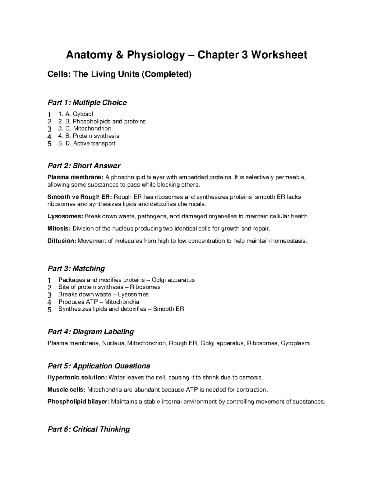 Anatomy Physiology CH3 Worksheet: Cells - The Living Units (Completed ...