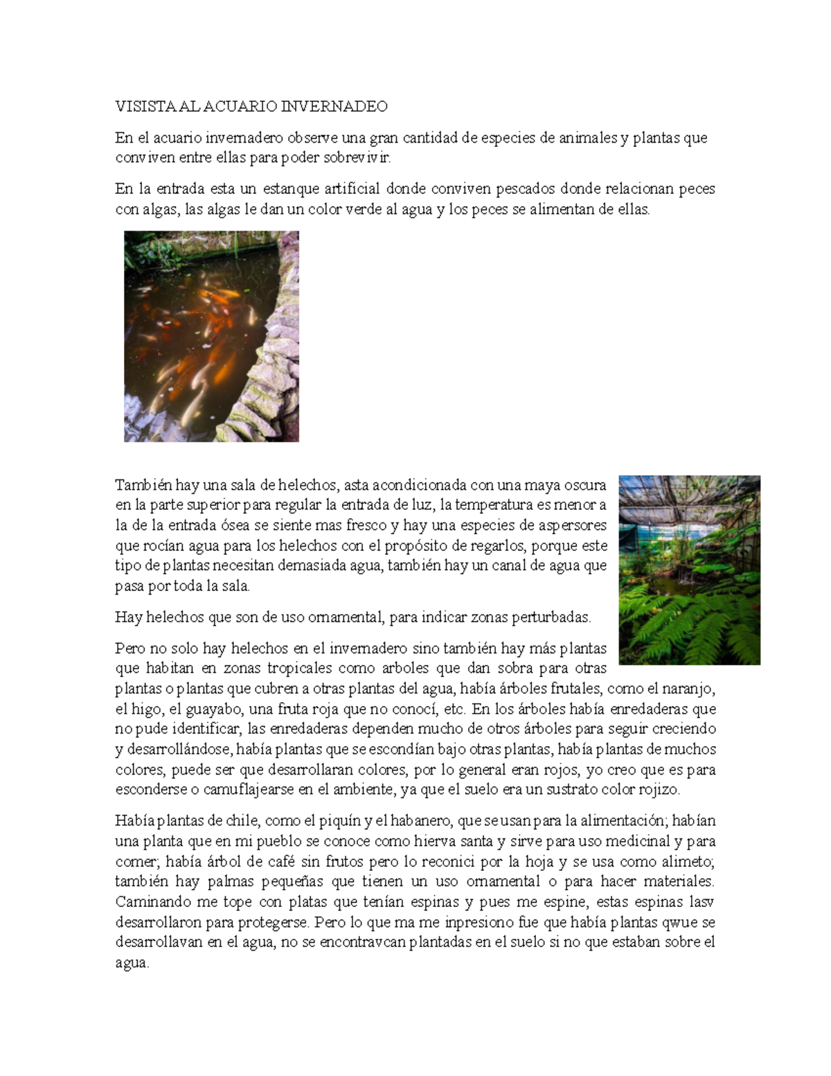 Visita al Acuario Invernadero: Observaciones de Especies y Plantas ...