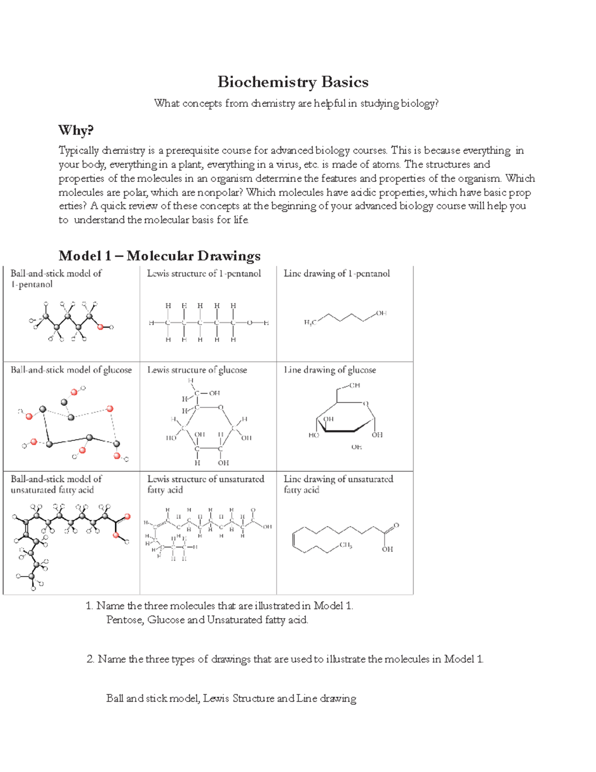 Avani Jain - 1 Biochemistry Basics-S - Biochemistry Basics What ...