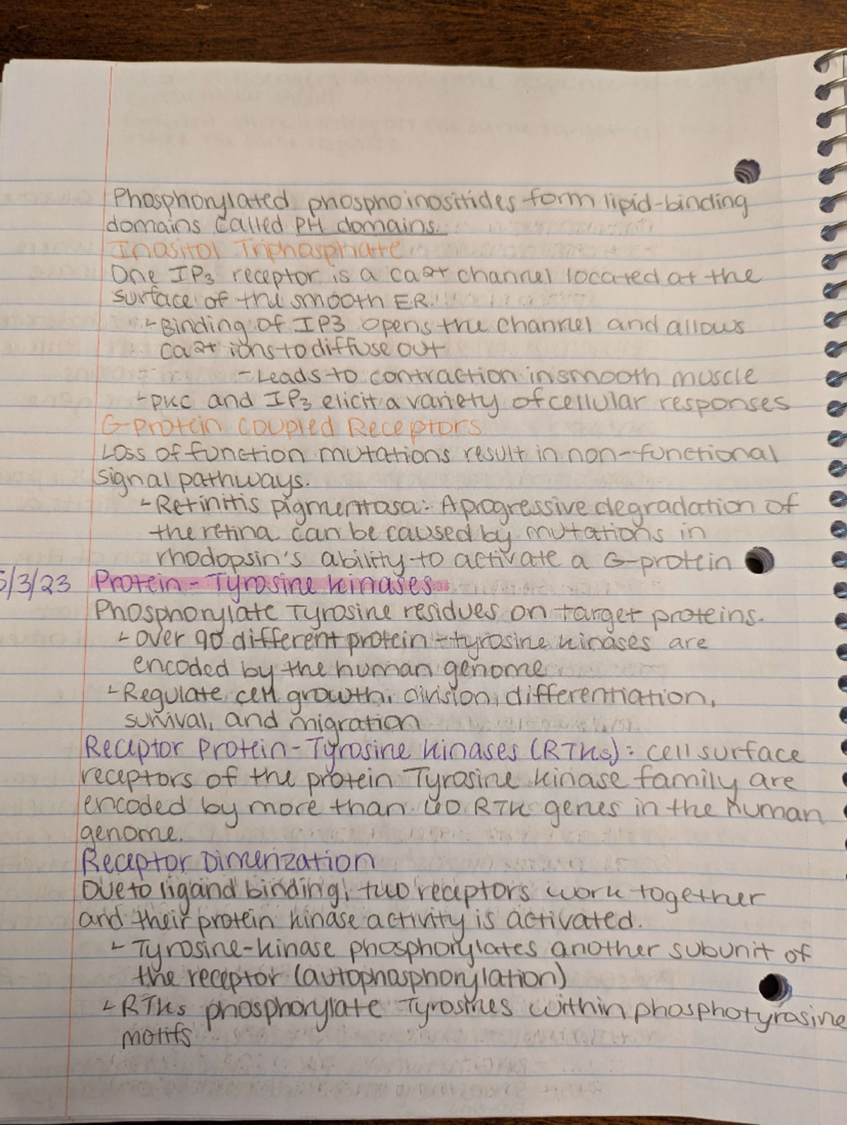 Cell Bio Lecture Notes: Key Concepts and Summary - Studocu