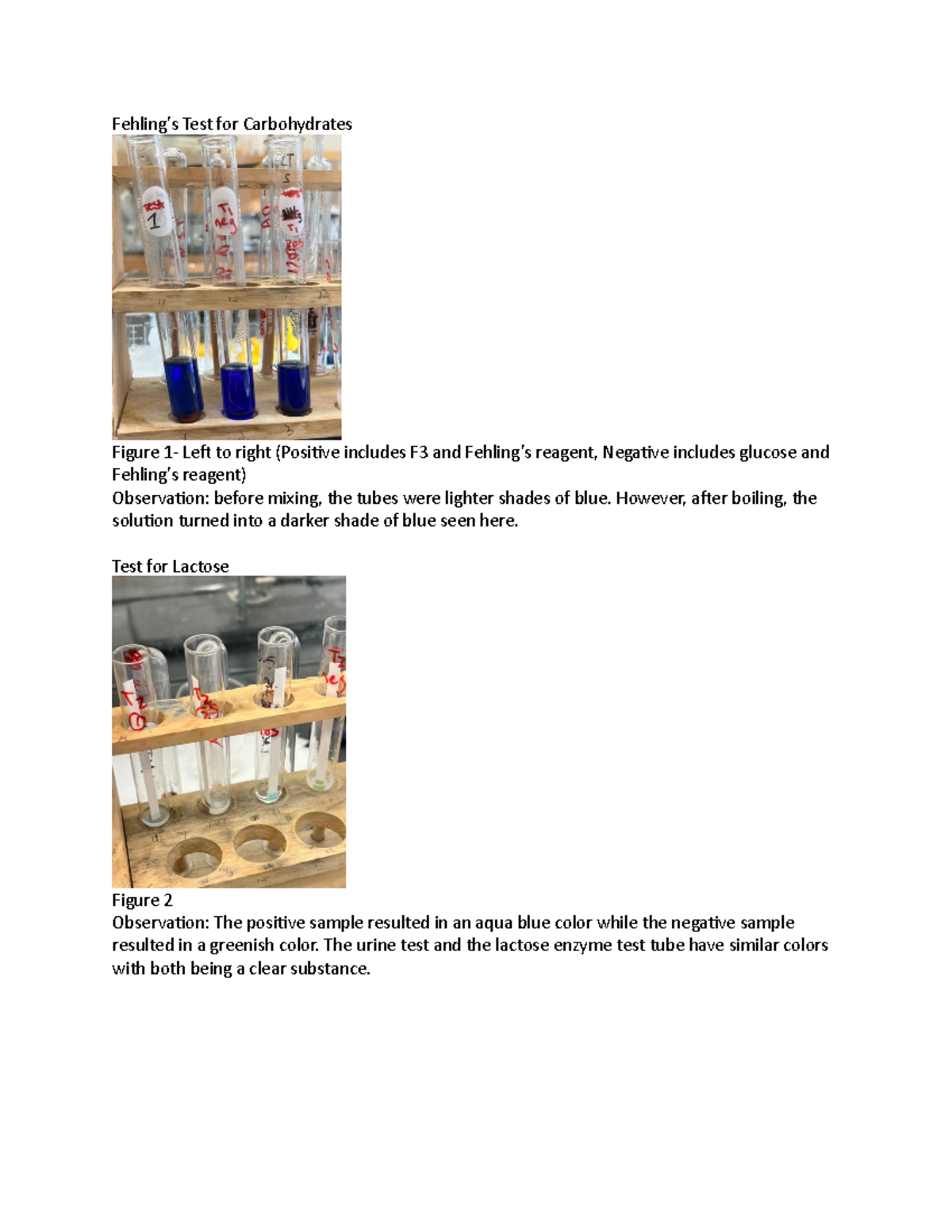 Chem Lab 2 Report: Analysis of Fehling’s Test & Lactose Experiment ...