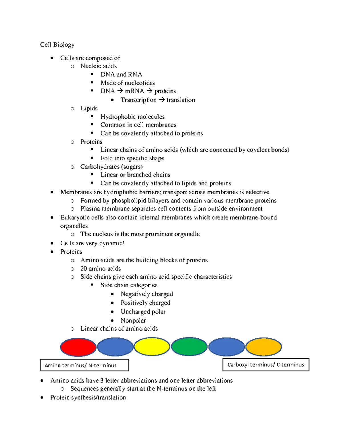 cell biology syllabus - Cell Biology 2019 Syllabus and Policies 1 of 6 ...