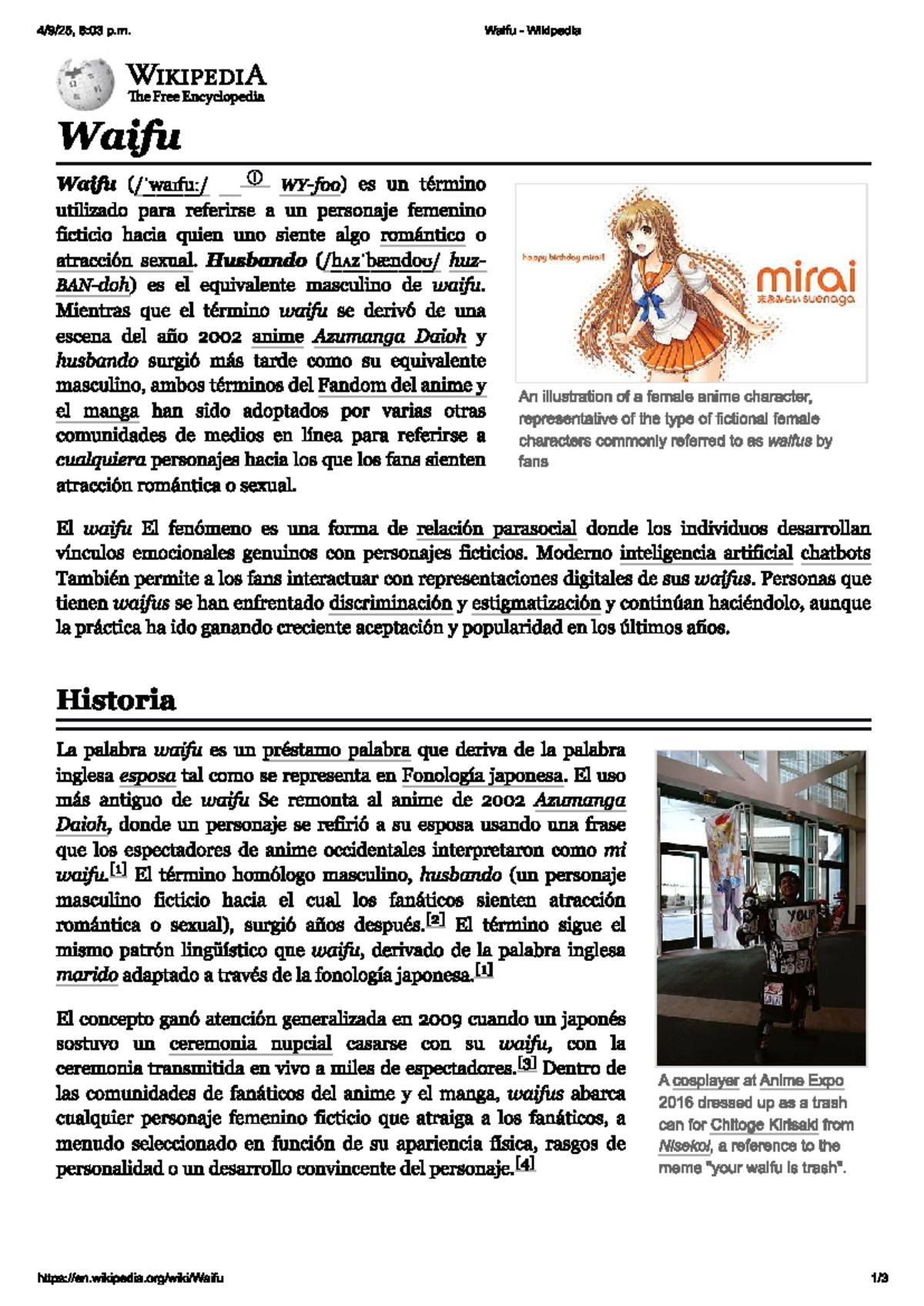 Anime 101: Understanding Waifu Culture and Its Impact on Fans - Studocu