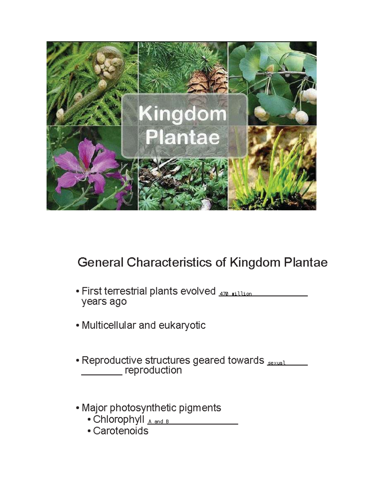 Phylum Bryophyta: Characteristics, Reproduction, and Life Cycle ...