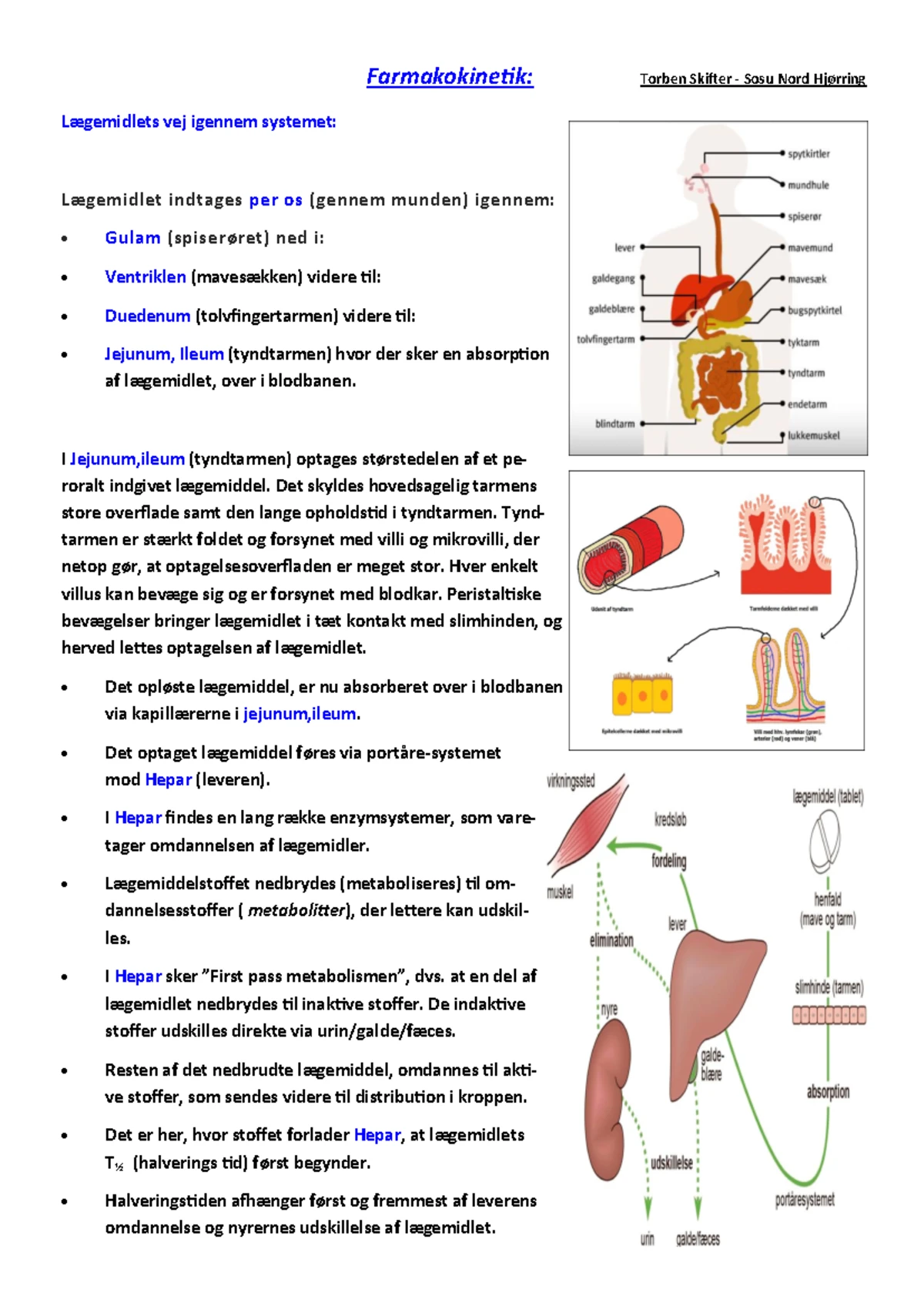 Virginia Henderson - De 14 behovsområder - Virginia Hendersons 14 ...