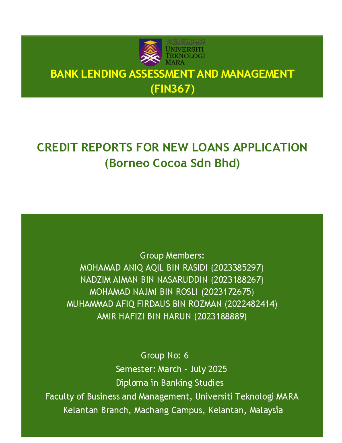 FIN367 Case Study: Credit Reports for New Loan Applications at Borneo ...