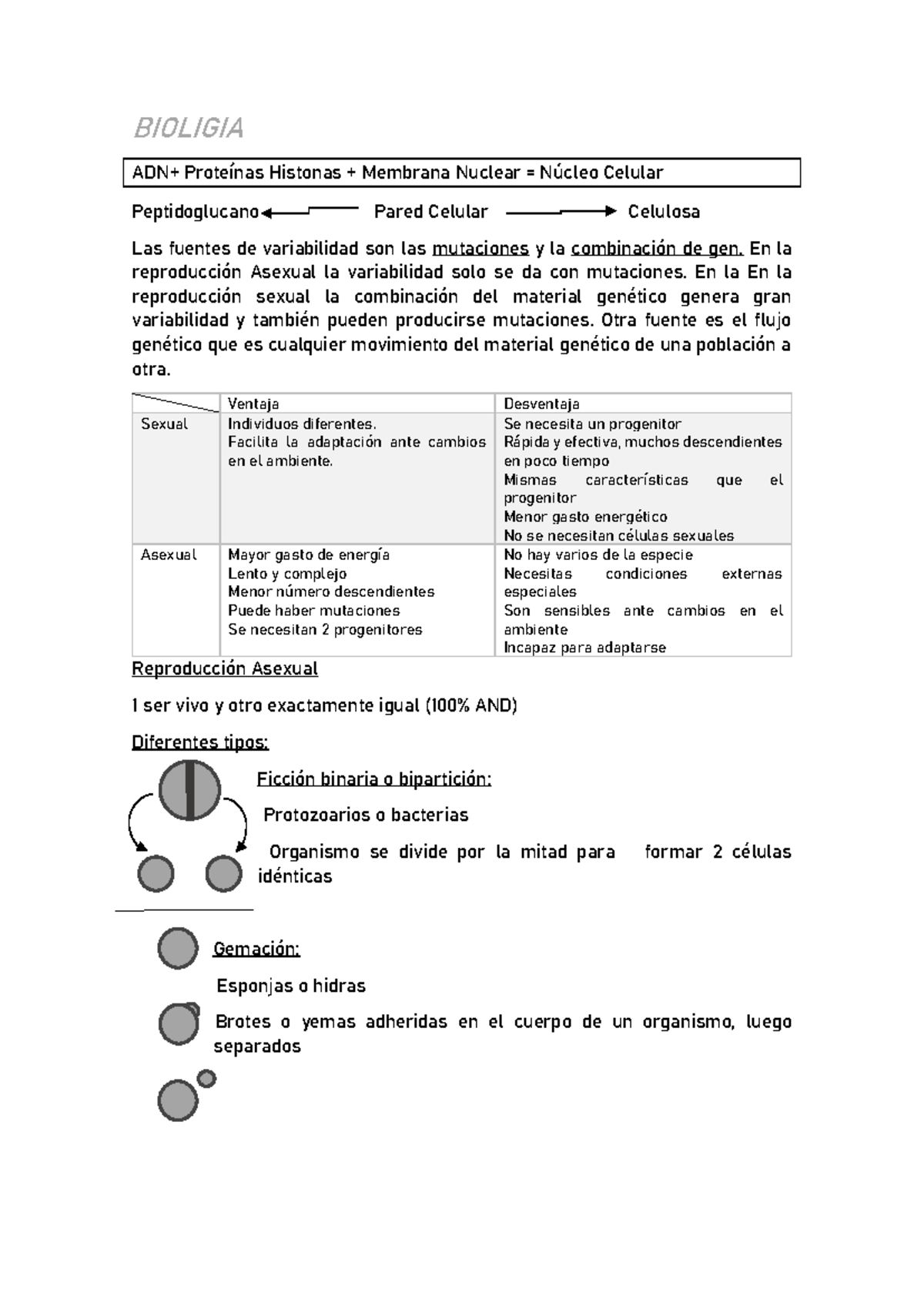 Bioligia - biologia - BIOLIGIA ADN+ Proteínas Histonas + Membrana ...