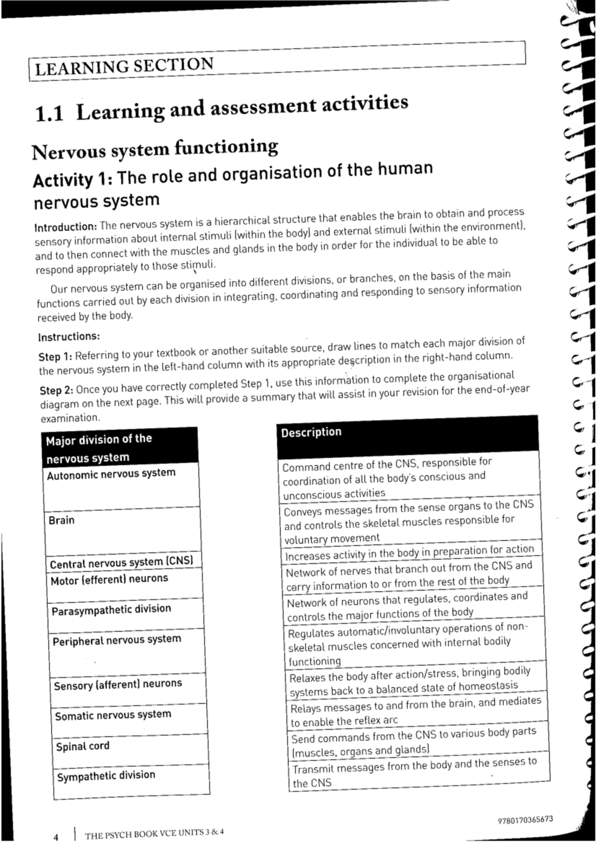 Activities 1 - Nervous System - Studocu