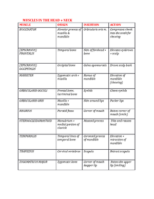 Tables of Muscles - Lab muscle table completed. - Muscles of the Head ...